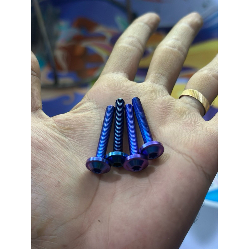 Jual Baut titanium M5x30 | Shopee Indonesia