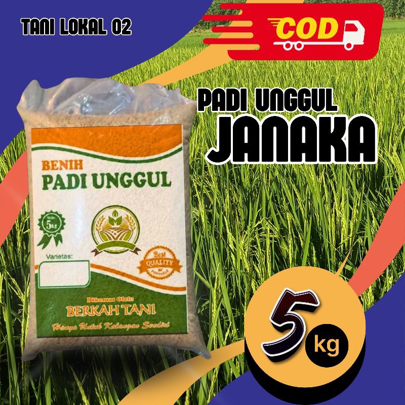 Jual Benih padi unggul janaka original benih padi unggul berkualitas ...