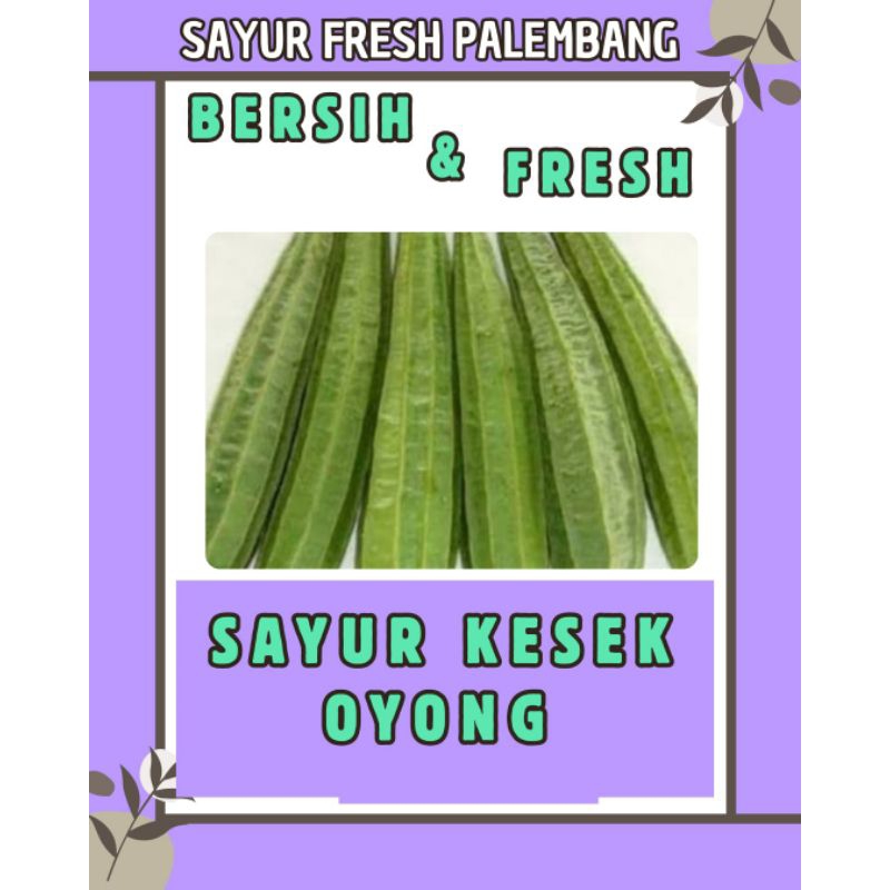 Jual SAYUR KESEK / OYONG FRESH & BERSIH - PALEMBANG | Shopee Indonesia