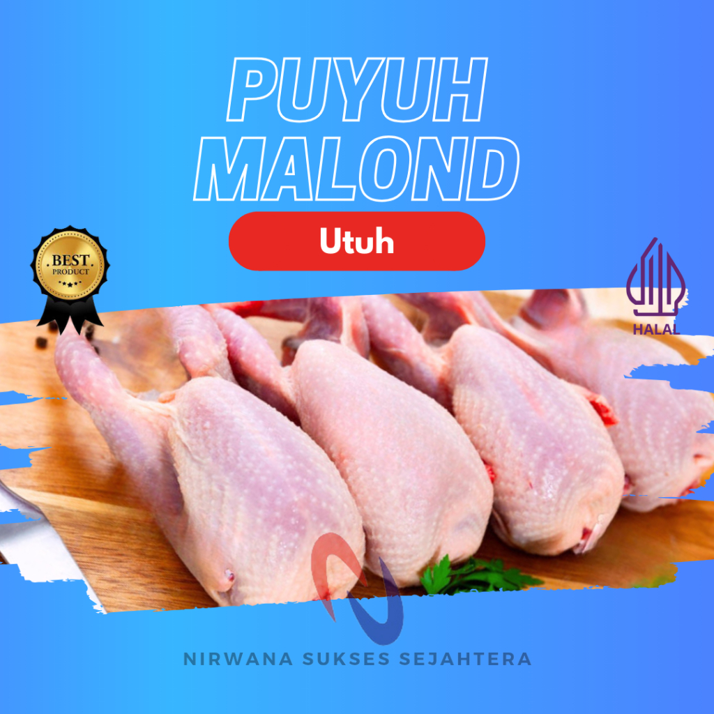 Jual BURUNG PUYUH MALOND, PEDAGING UTUH / WHOLE MALOND QUAIL | Shopee ...