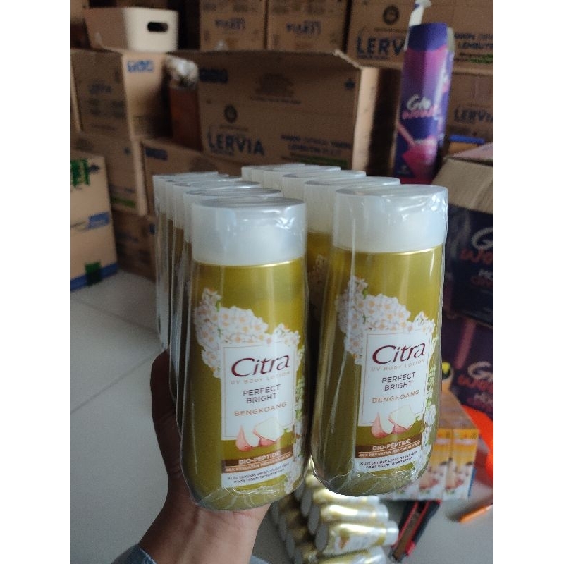 Jual HAND BODY CITRA 60ML HAND BODY LOTION CITRA BENGKOANG NATURAL GLOW UV PEARLY | Shopee Indonesia
