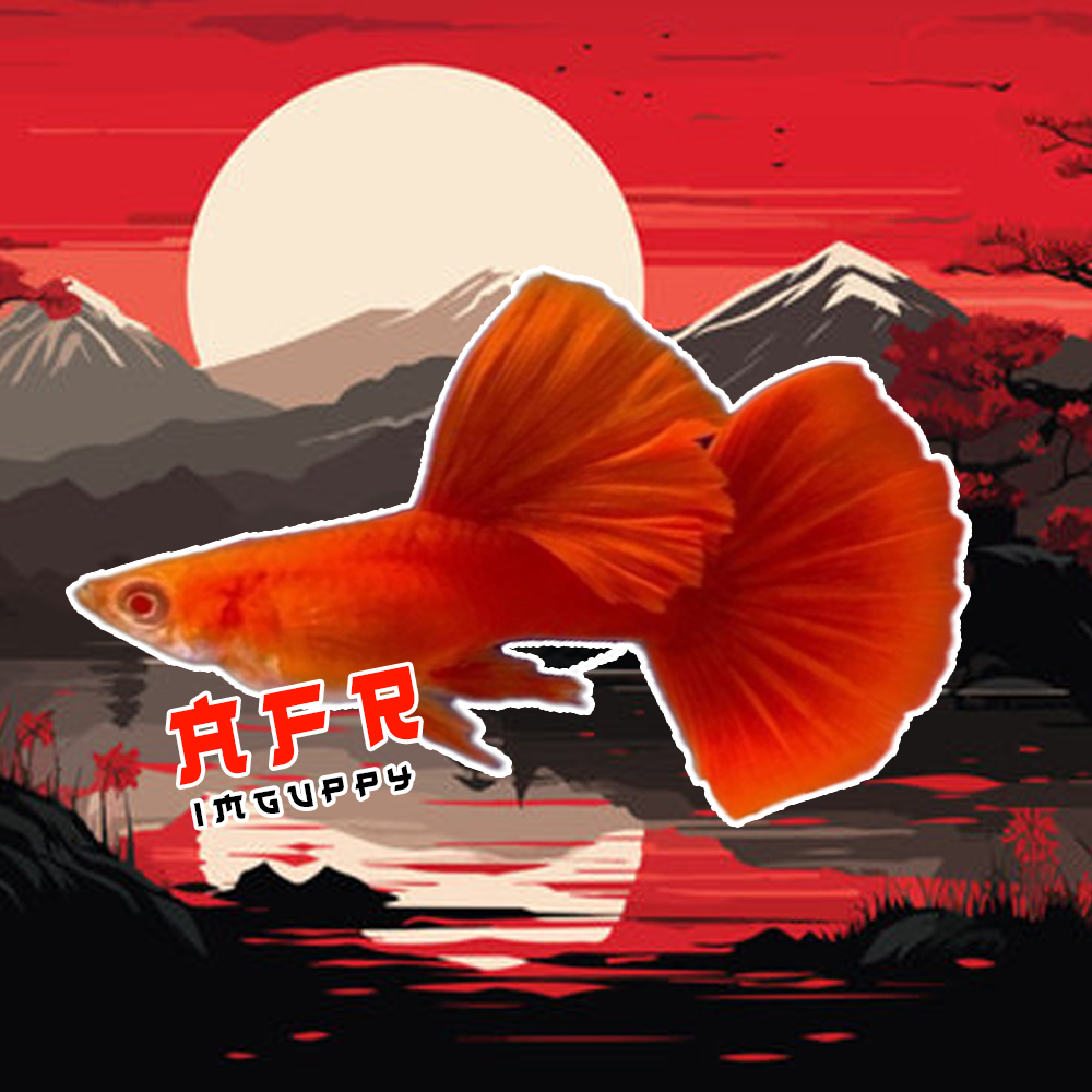 Jual STICKER AFR BIG DORSAL | Shopee Indonesia