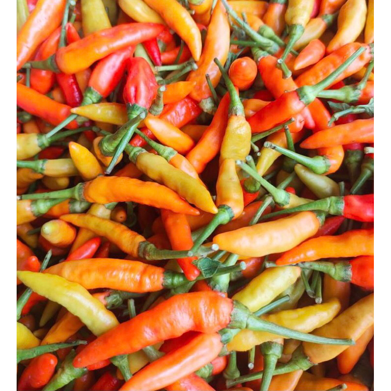 Jual Cabe rawit merah ori fresh | Lombok rawit merah ori fresh 1kg ...