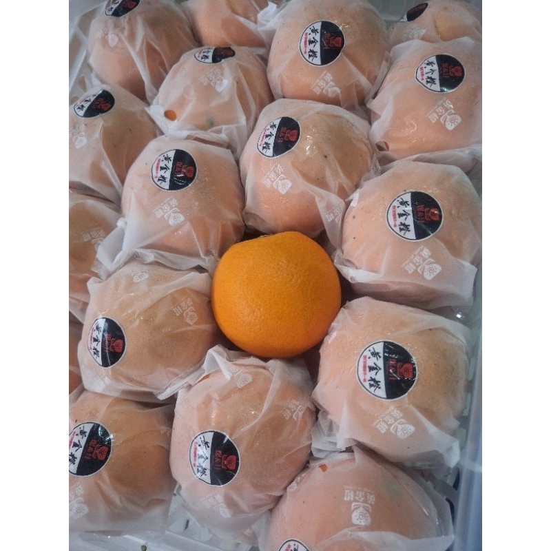 Jual Jeruk Sunkist Navel 1kg Malang Kota | Shopee Indonesia