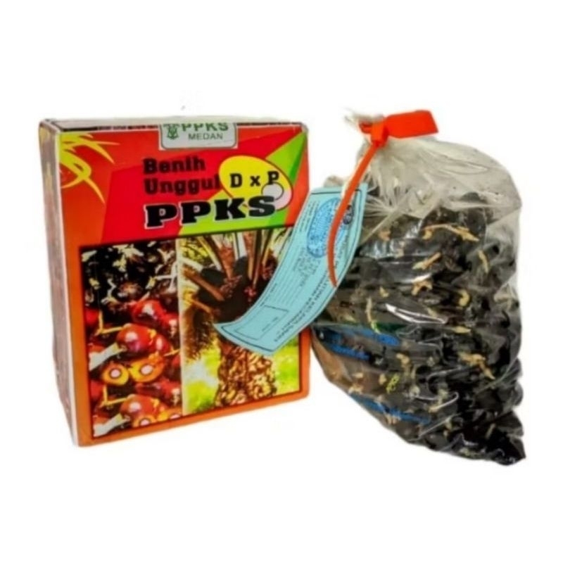 Jual kecambah sawit ppks 239 Medan isi 250 butir | Shopee Indonesia