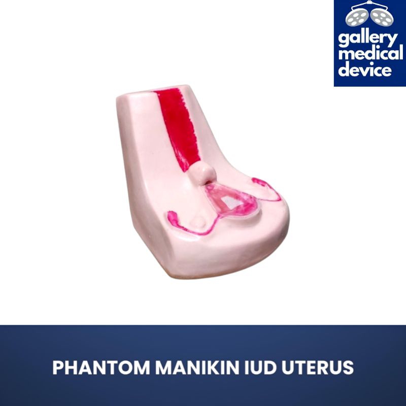 Jual PHANTOM MANIKIN IUD UTERUS/MANEKIN IUD UTERUS | Shopee Indonesia