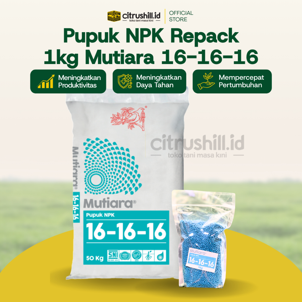 Jual PUPUK NPK MUTIARA 16 16 16 VEGETATIF ORIGINAL REPACK MEROKE ...