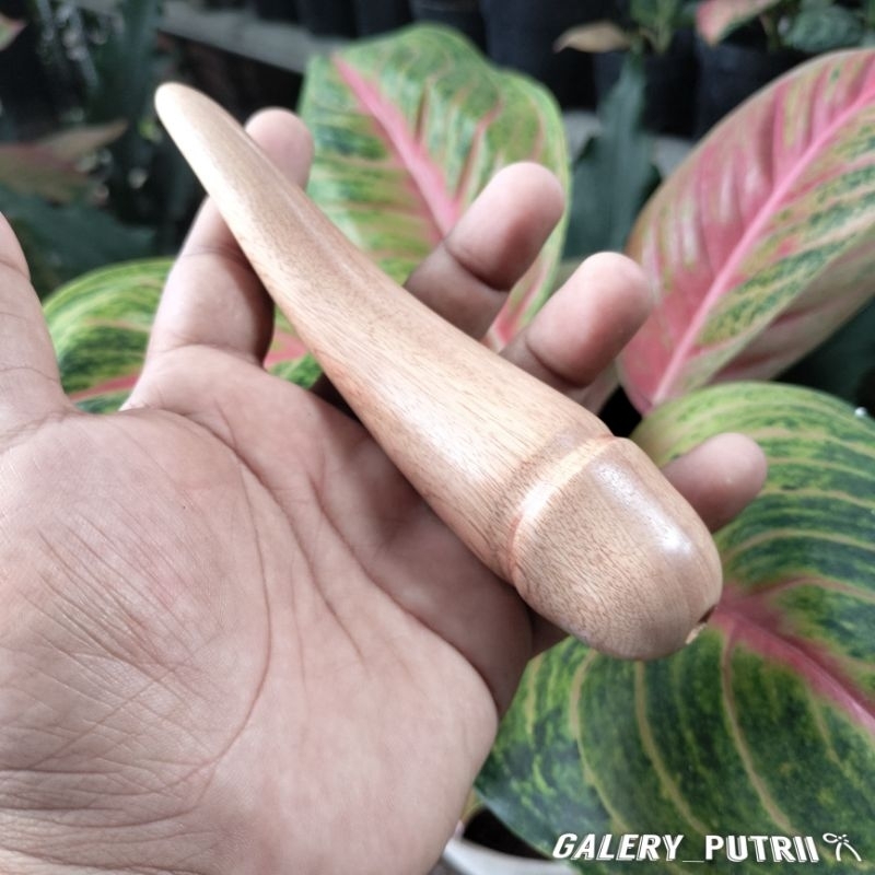 Jual once pipa varian model unik dan antik kayu setigi laut kayu stigi ...