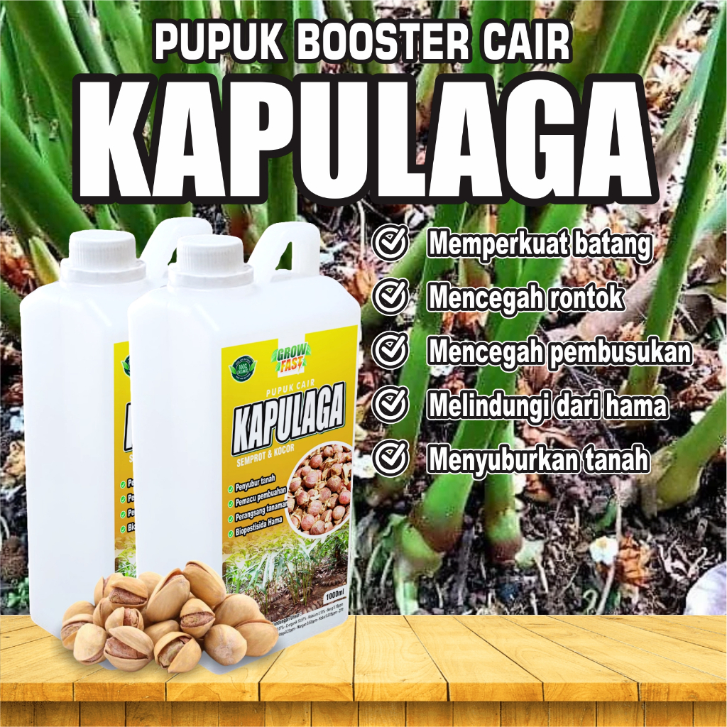 Jual Pupuk Booster kapulaga 1 Liter - pupuk organik pelebat buah pupuk biopestisida pupuk pemacu ...