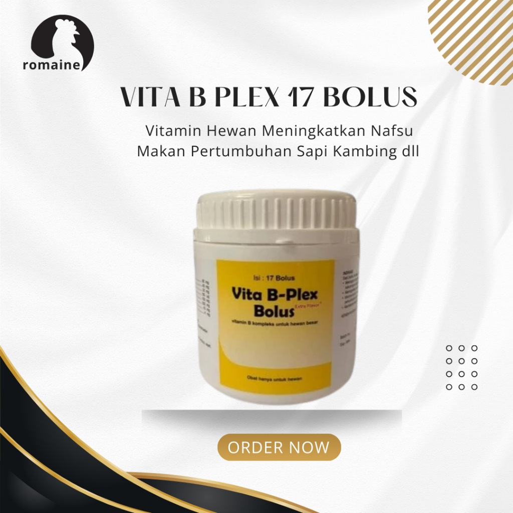 Jual Vita B Plex 17 Bolus Vitamin Hewan Meningkatkan Nafsu Makan ...