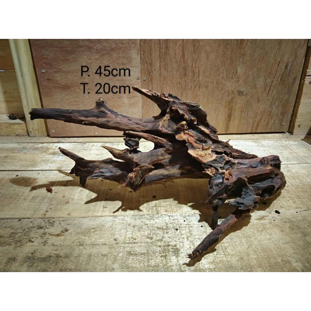 Jual rentek/posil kayu tenggelam aquascape dekorasi | Shopee Indonesia