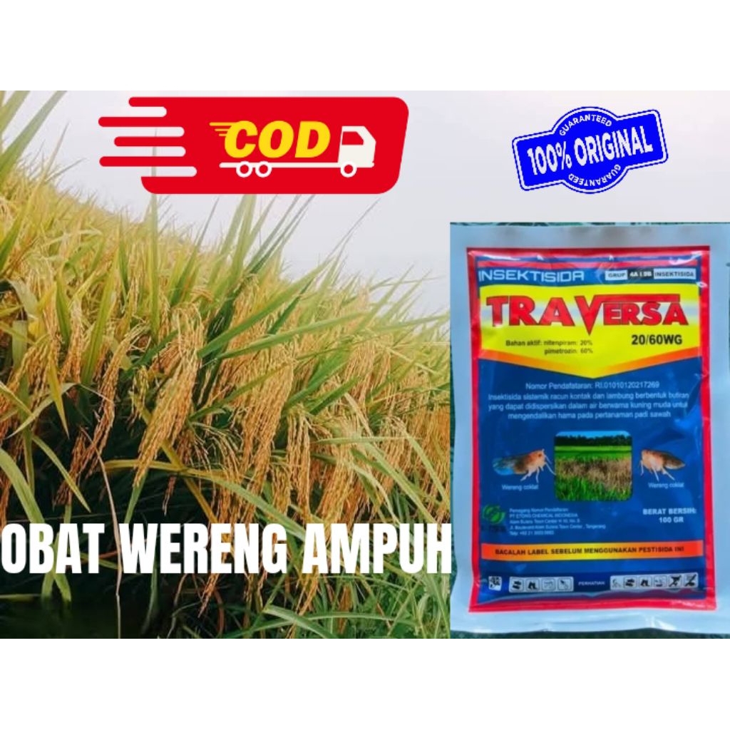 Jual INSEKTISIDA TRAVERSA 20/60 WG PEMBASMI WERENG KEMASAN 100 GRAM ...