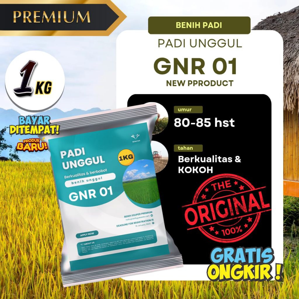Jual benih padi GNR 01 benih padi berkualitas super dalam kemasan 1kg | Shopee Indonesia