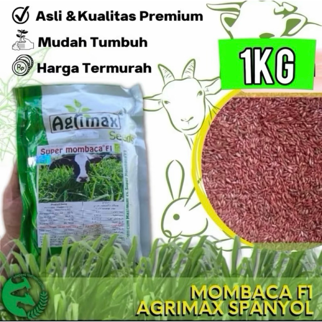 Jual Benih super Mombaca F1 1kg biji agrimax spanyol | Shopee Indonesia