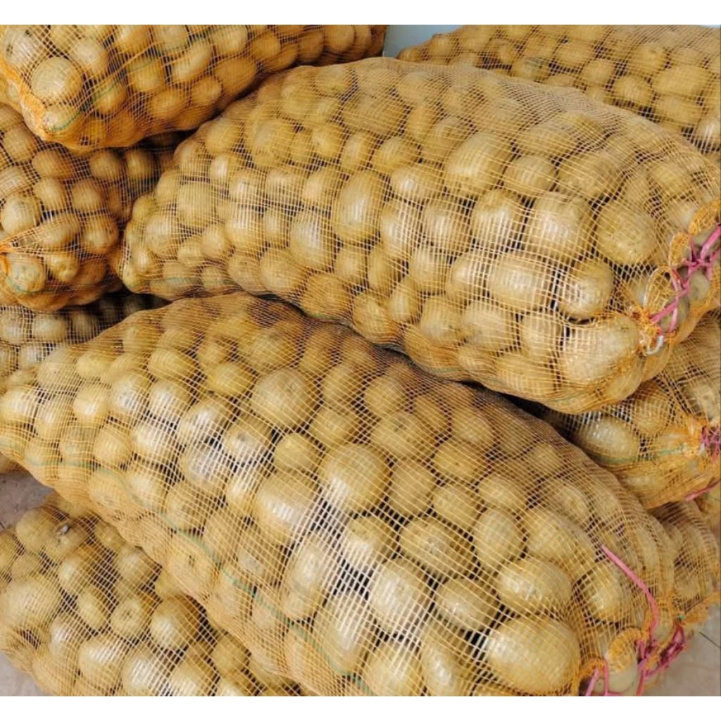 Jual Kentang 1 Kg Terlengkap & Harga Terbaru Mei 2026 | Shopee Indonesia