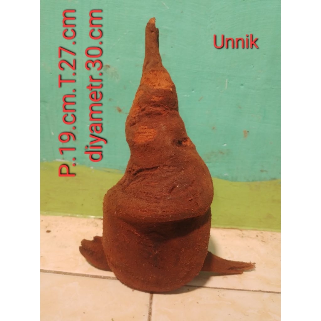 Jual kayu santigi kawa ratu. unik kaya botol jin.untuk koleksi | Shopee ...
