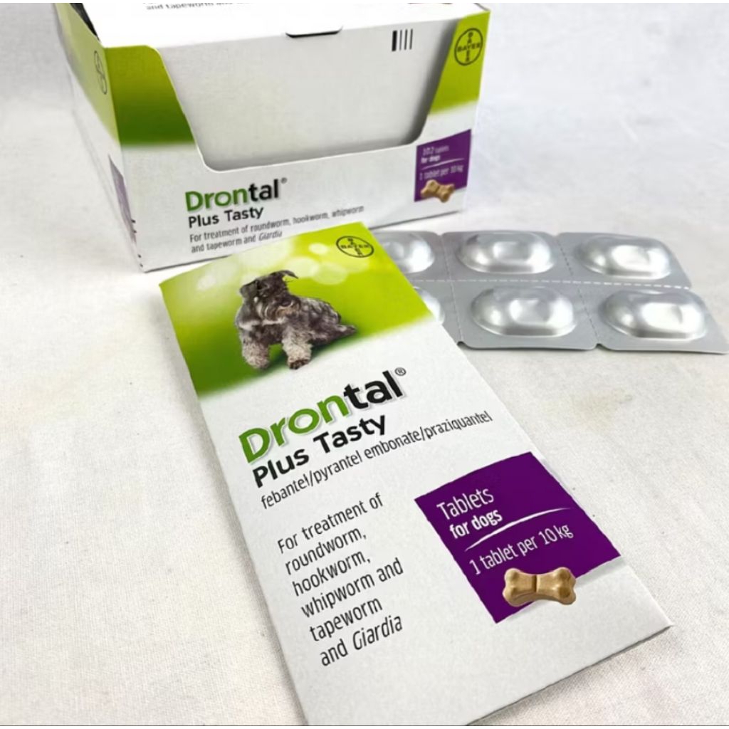 Jual Obat Cacing Drontal Terlengkap & Harga Terbaru Juni 2026 | Shopee ...