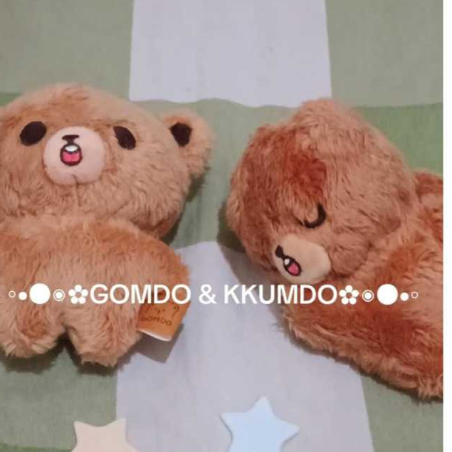 Jual doll official gomdo lee haechan 10 cm photocard heeseung kun nct ...