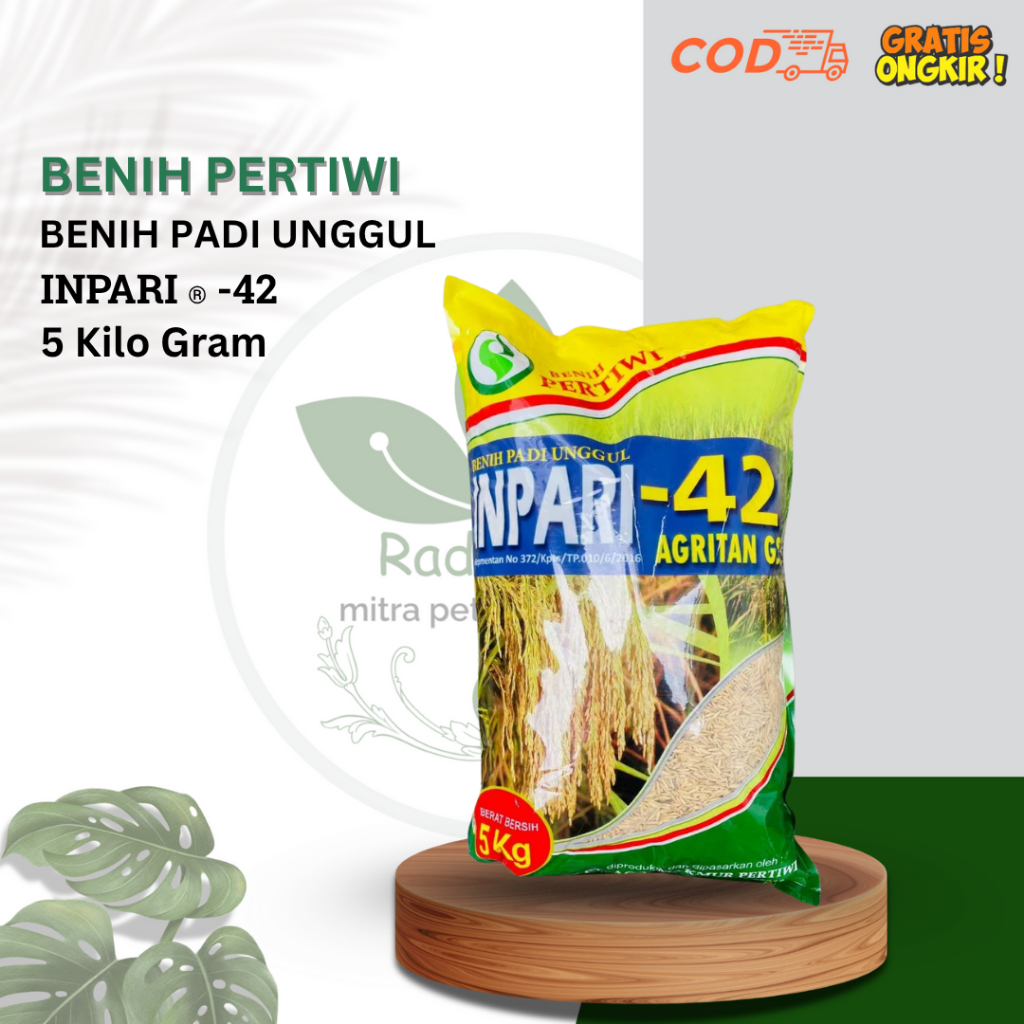 Jual Benih - Benih Padi Unggul INPARI 42 dari Benih Pertiwi isi 5 kg ...