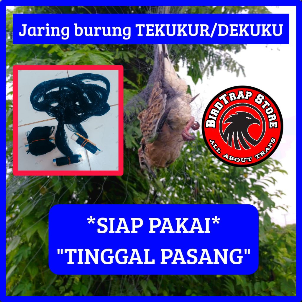 Jual Jaring burung tekukur siap pakai panjang 10 meter, jebakan burung ...