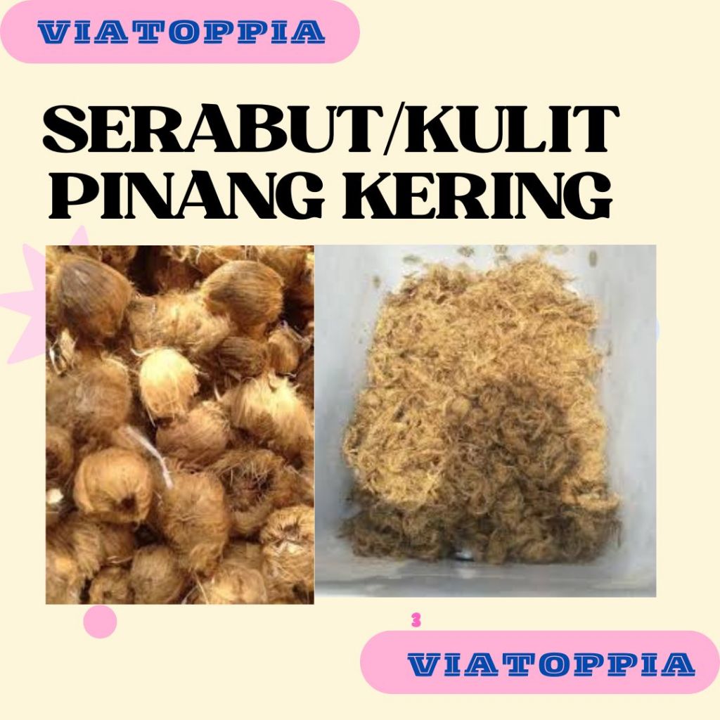 Jual KULIT// SERABUT//PINANG KERING | Shopee Indonesia