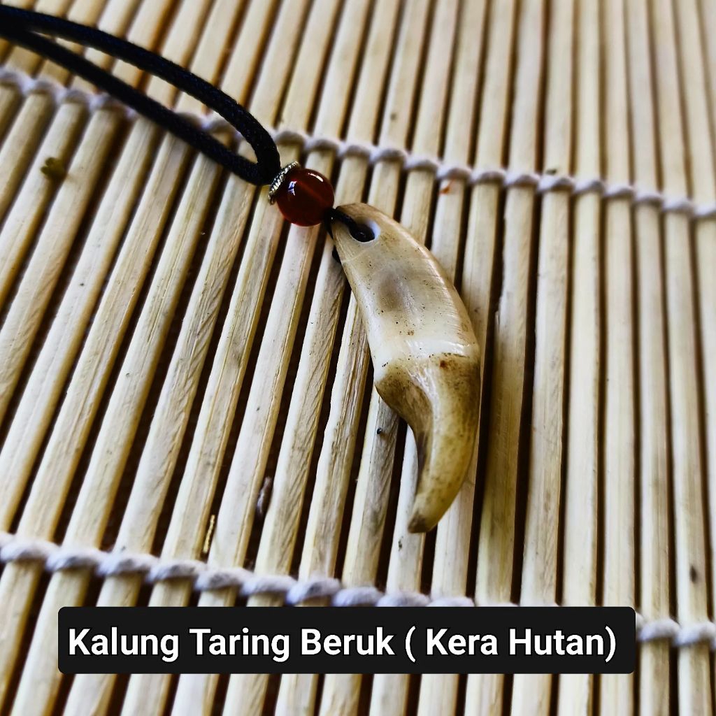 Jual Kalung T@ribg B3ruk | Shopee Indonesia