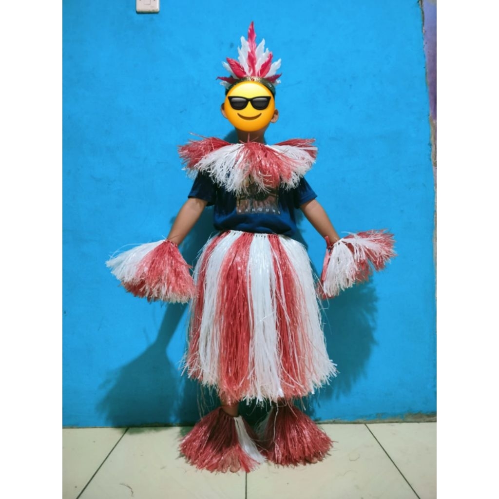 Jual rok tali rafia rumbai satu set ukuran tk/anak perlengkapan menari ...