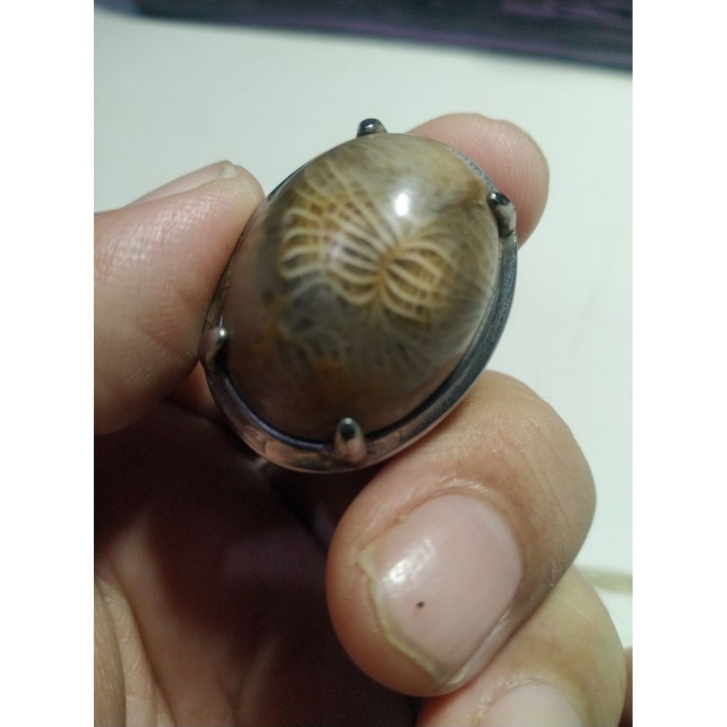 Jual Batu Akik Motif Kelabang Natural Tua Sakkrral Unik kode 16/356 ...