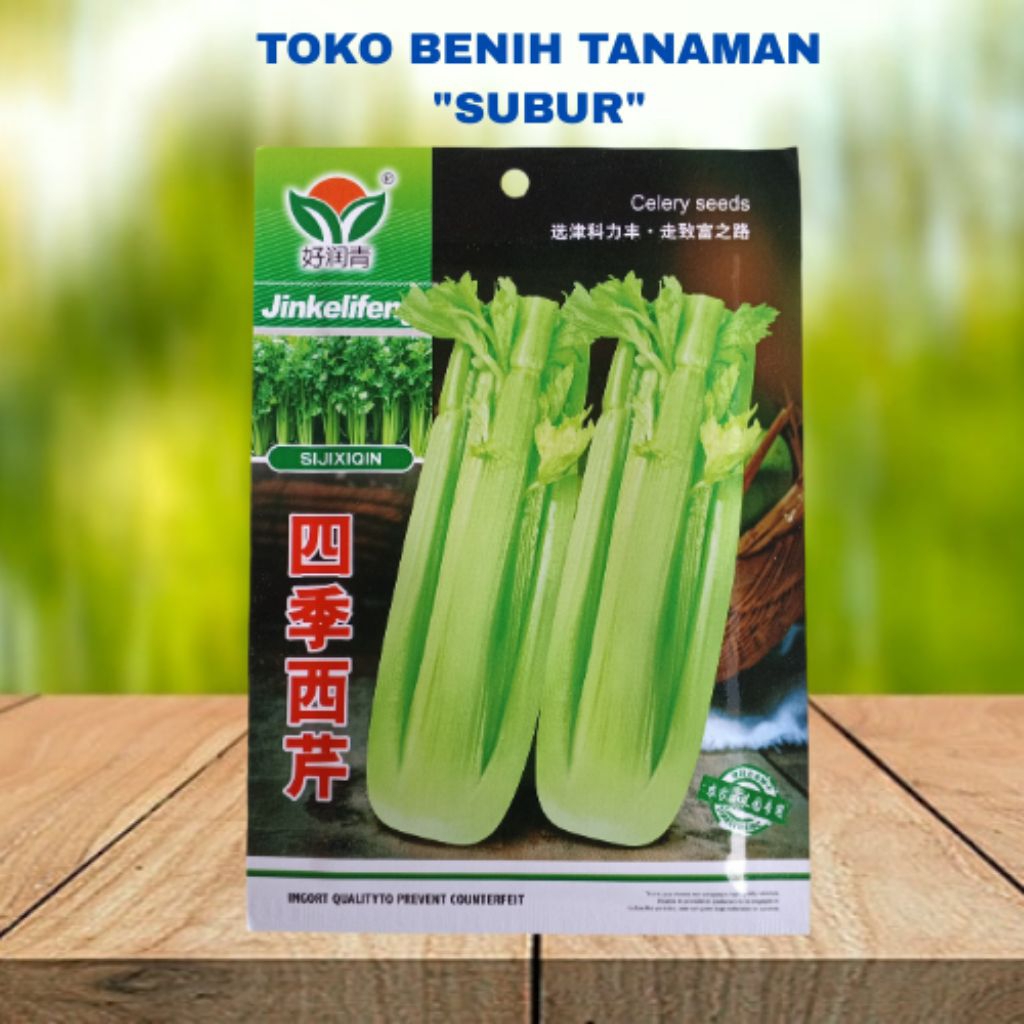 Jual BENIH/BIJI SELEDRI BATANG BESAR (KEMASAN 5g) | Shopee Indonesia