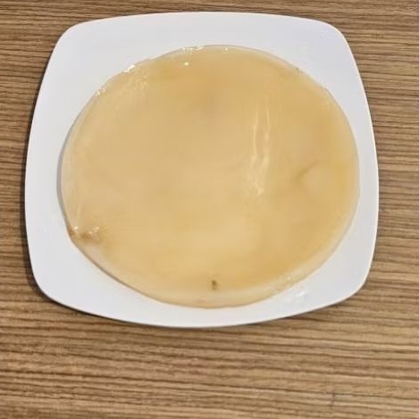 Jual SCOBY KOMBUCHA/SCOBY PREMIUM/SCOBY 17CM | Shopee Indonesia