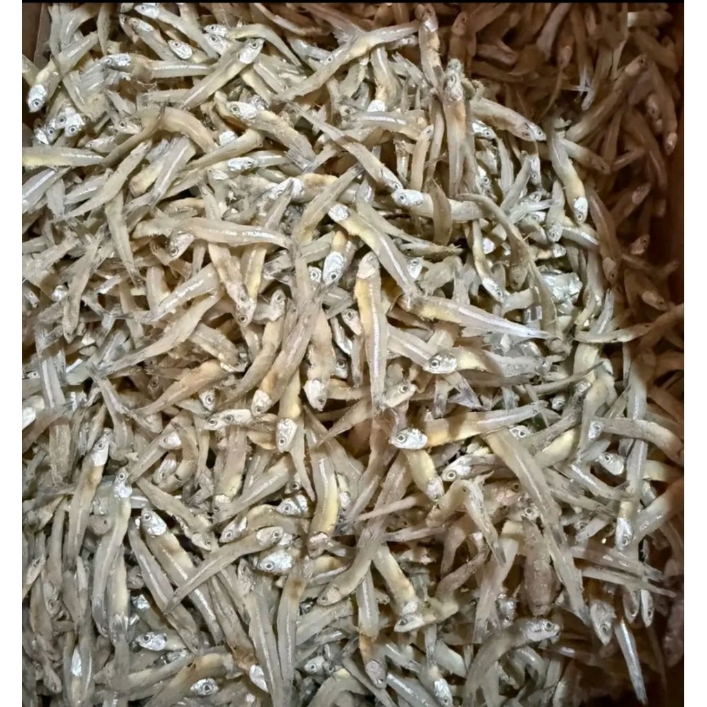 Jual PROMO IKAN ASIN TERI JENGKI KERING PREMIUM MURAH BERKUALITAS ...