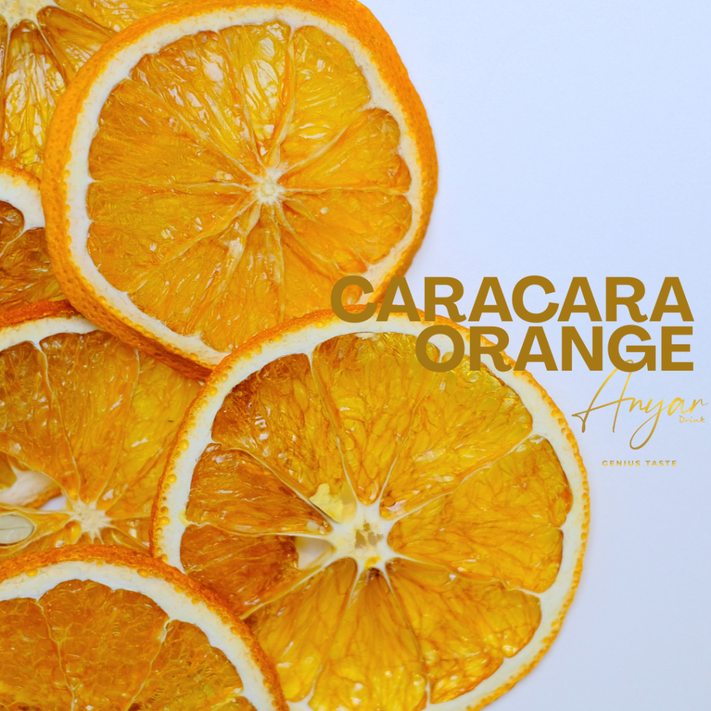 Jual Anyar Drink - Dried Orange Slice Premium 50gram - Dried Fruit ...