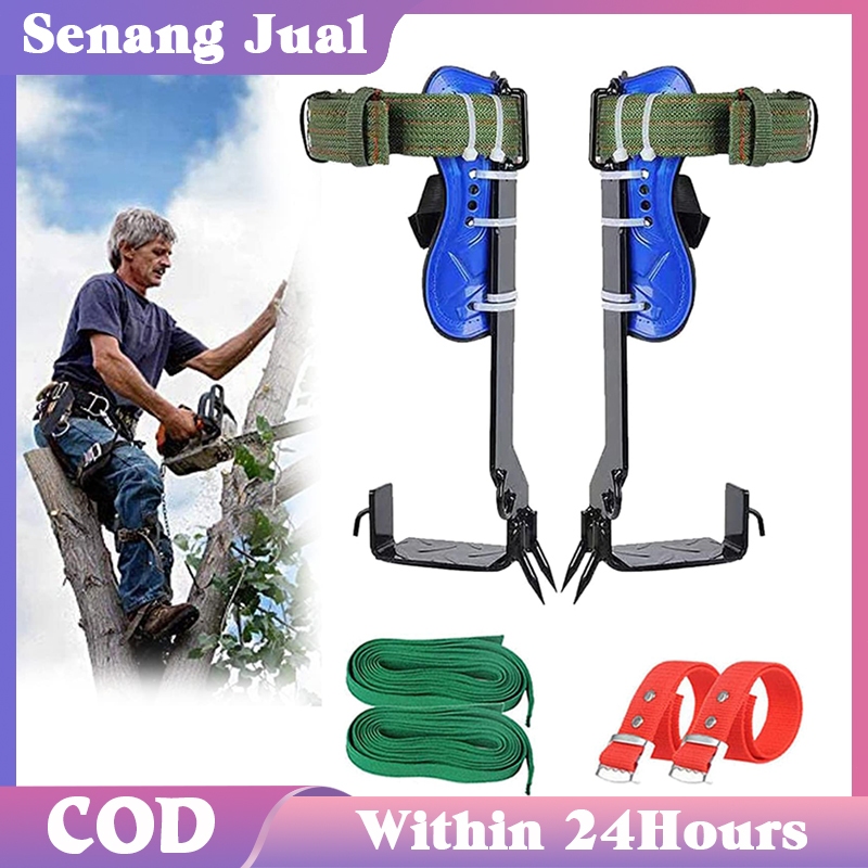 Jual Alat Pemanjat Kelapa / Tree Climbing Alat / Untuk Panjat Pohon ...