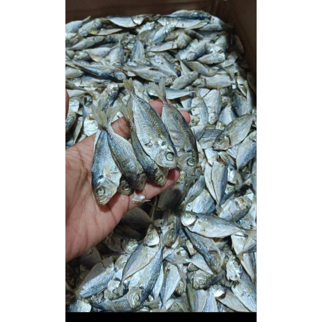 Jual Ikan Asin Rebus Selar 500 Gram | Shopee Indonesia