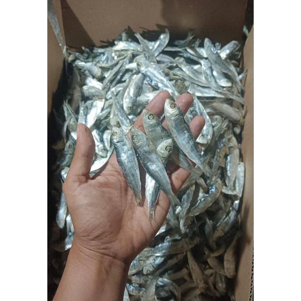 Jual Ikan Asin Rebus Tanjan 500 Gram | Shopee Indonesia