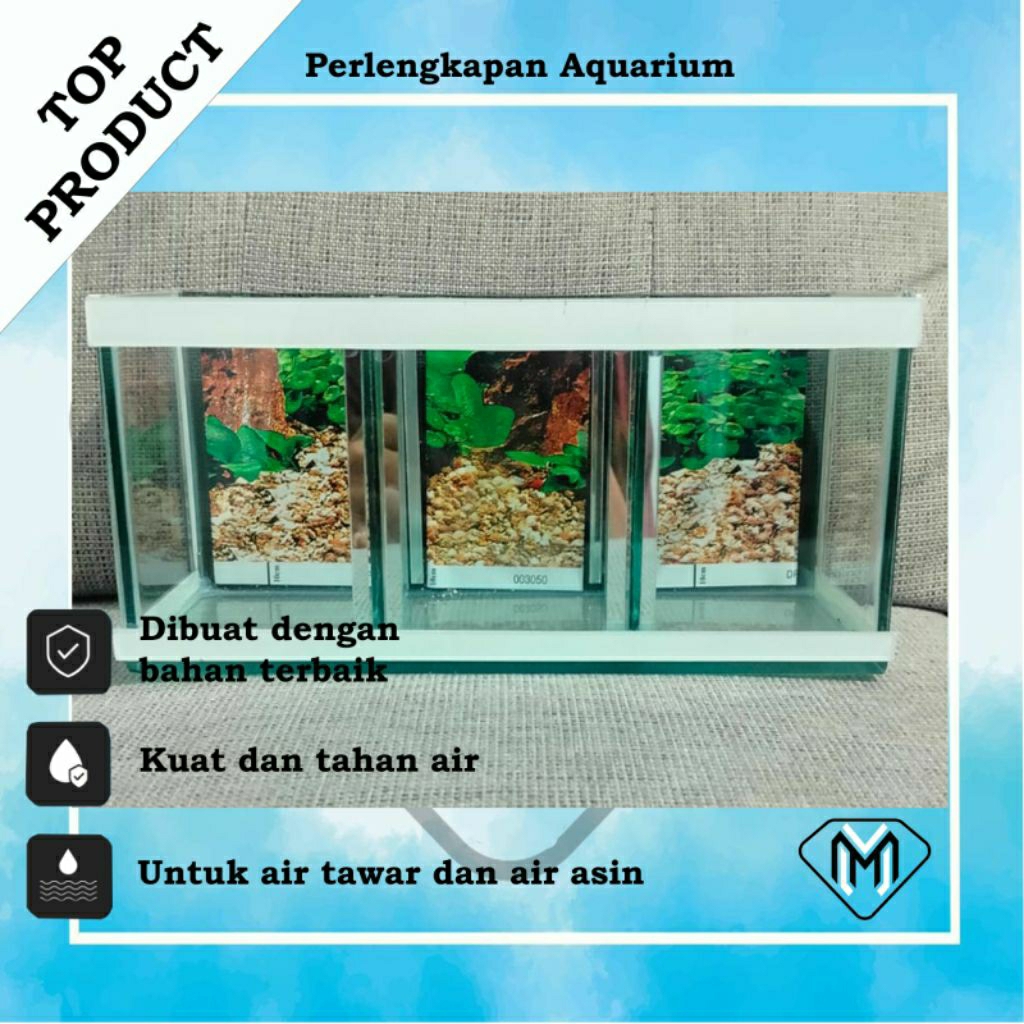 Jual AQUARIUM MINIMALIS SEKAT 3/ AQUARIUM KACA TEBAL MURAH / AQUARIUM ...