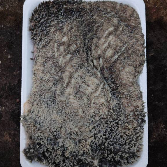 Jual Babat Sapi dan Usus/Iso Sapi Fresh 500gr-1Kg | Shopee Indonesia