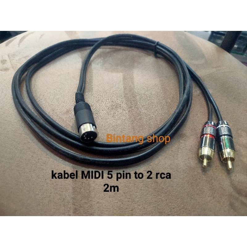 Jual kabel MIDI 5 pin to 2 RCA CANARE ORIGINAL 2m | Shopee Indonesia