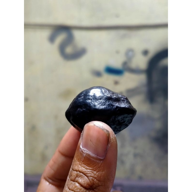 Jual Muncang Jayanti Dayak ori tebel 5mm | Shopee Indonesia