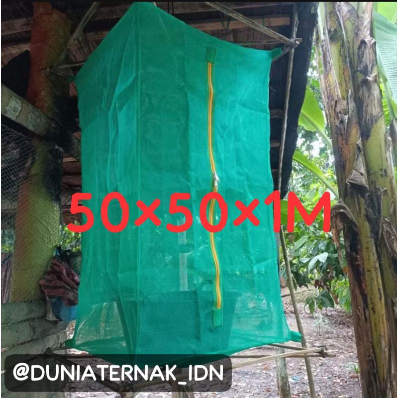 Jual kandang lalat bsf // jaring lalat bsf // maggot bsf ukuran 0.5x0 ...