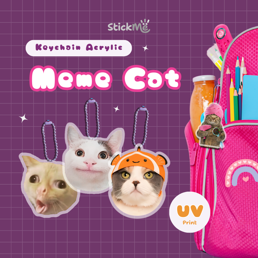 Jual StickMe Gantungan Kunci Meme Kucing Akrilik Lucu Ganci Keychain ...