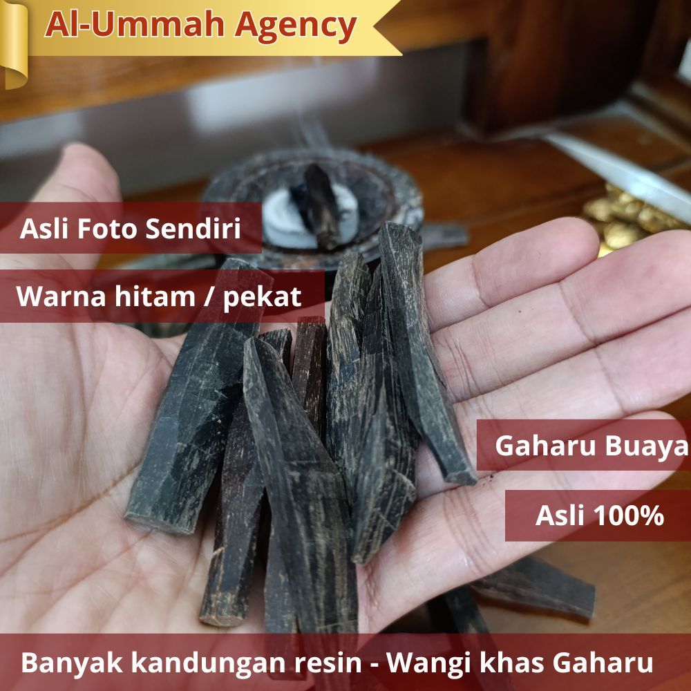 Jual Kayu Gaharu Agarwood Bouya Kayu Gahru Asli Hutan Kalimantan Aroma Wangi Alami Khas Kayu ...