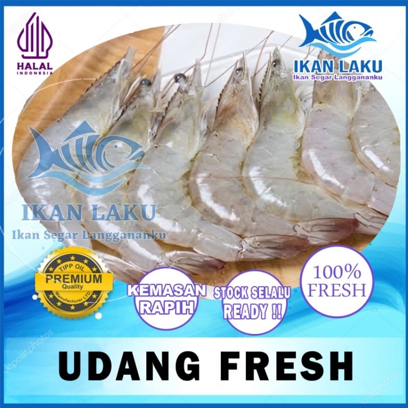 Jual Udang Segar 500gr - Udang Vaname - Udang Pancet - Udang Windu ...