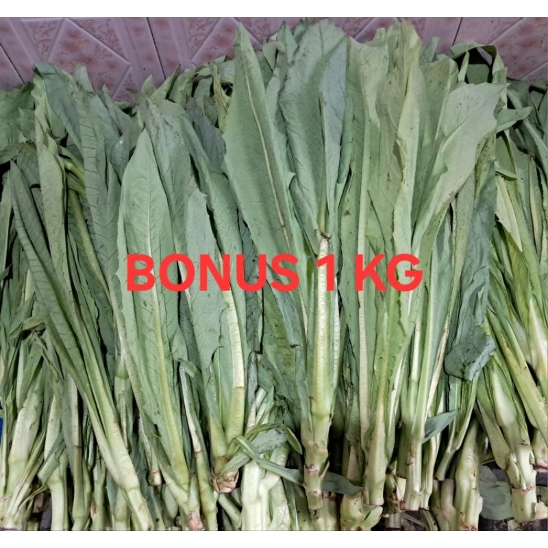 Jual Fumak 1 kg + FREE BONUS SAYURAN | Shopee Indonesia