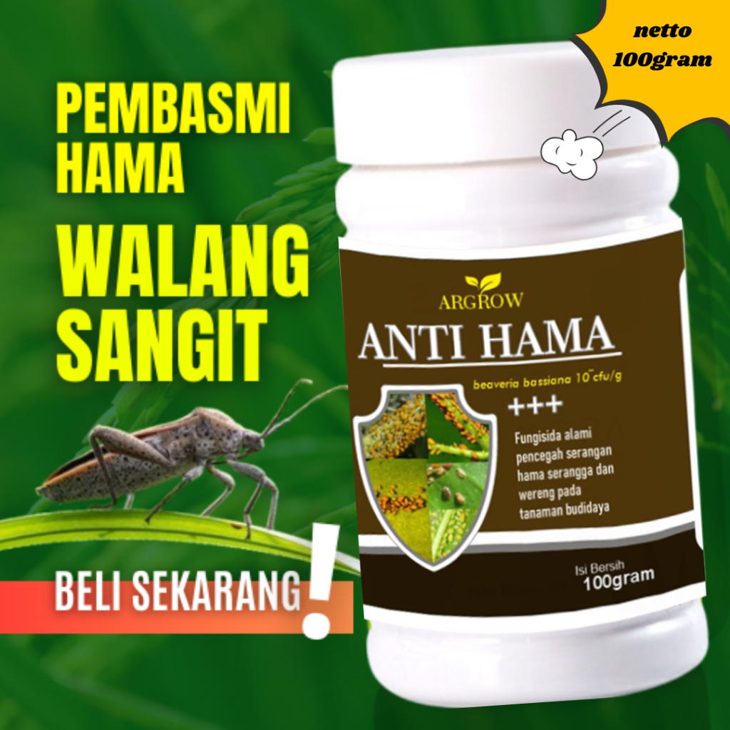 Jual Obat Hama Wereng Paling Ampuh Cabe Padi Sawah Wereng Coklat Putih ...