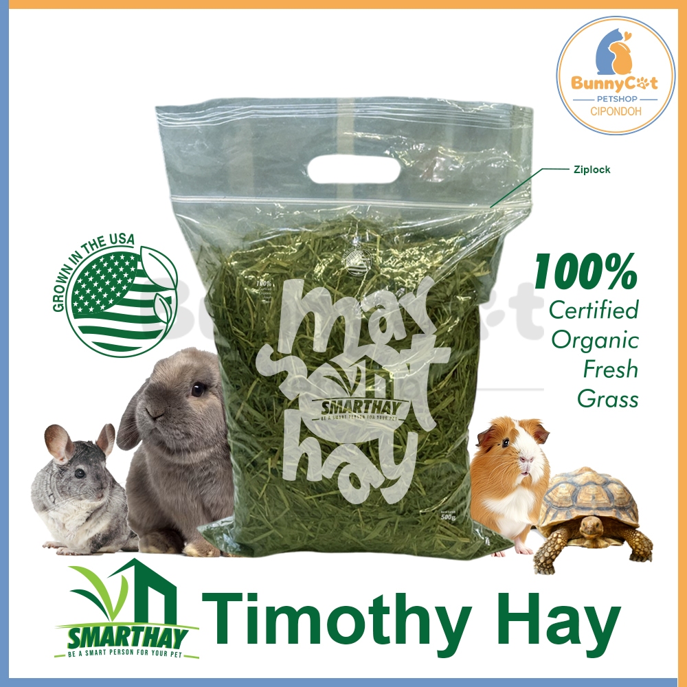 Jual Smarthay 500 Gram Rumput Hay Makanan Kelinci Timothy Hay 2nd Cut ...