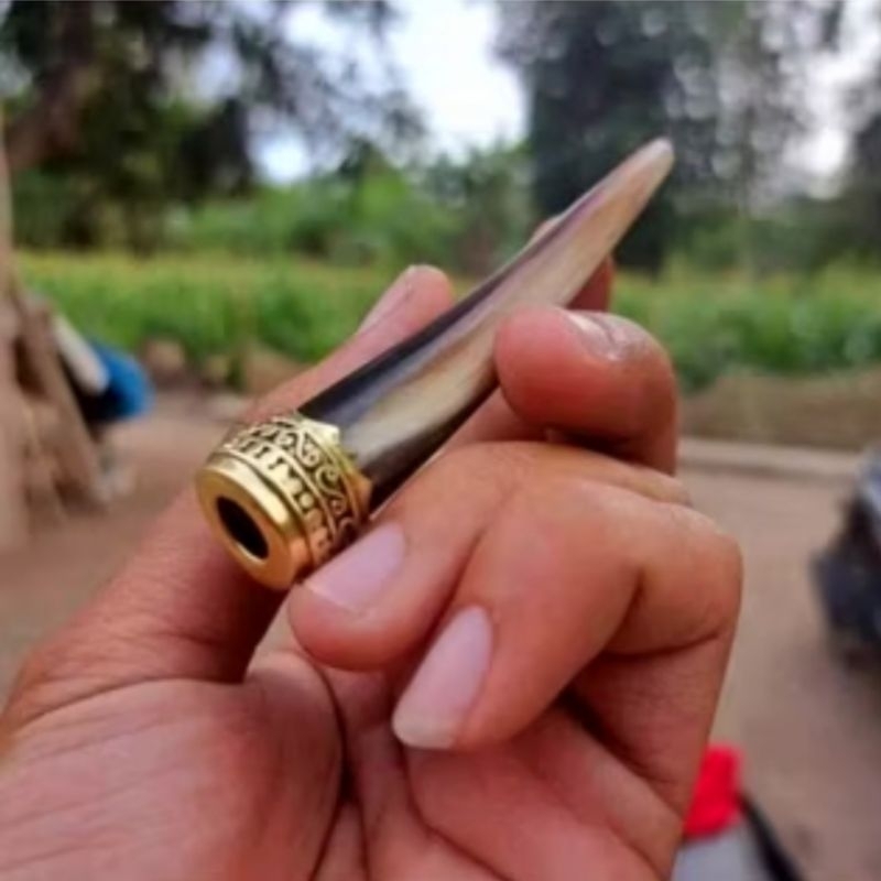 Jual ONCE PIPA TANDUK KERBAU MURAH MERIAH | Shopee Indonesia