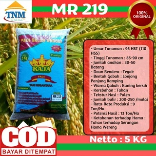 Jual Biji Padi Unggul MR 219 MR219 5KG | Shopee Indonesia