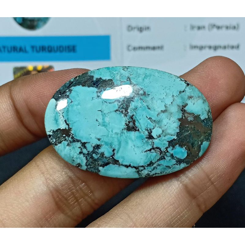 Jual BATU PIRUS "TURQUOISE" UKURAN JUMBO ASLI NATURAL LENGKAP DENGAN ...