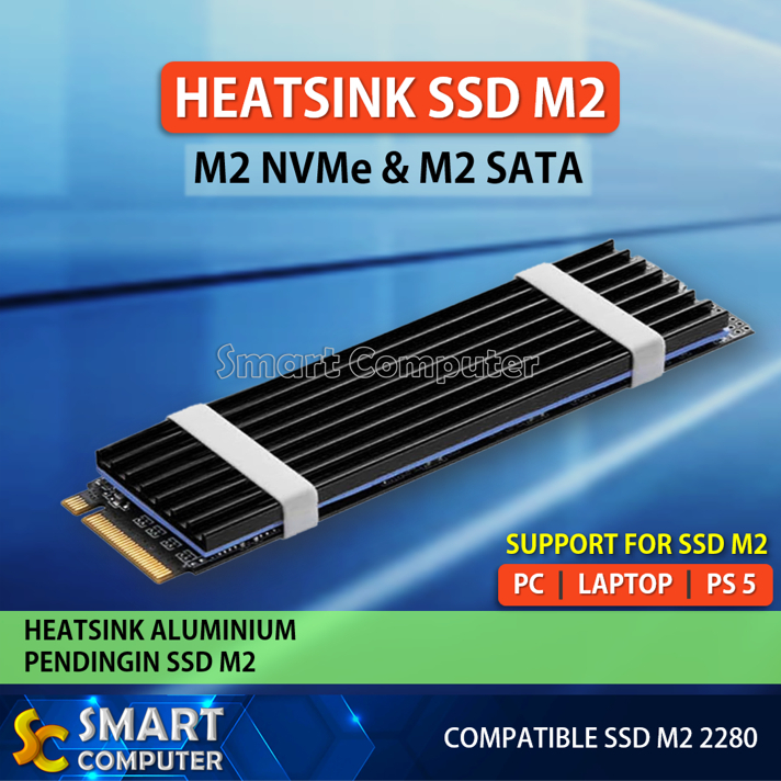 Jual Heatsink SSD M2 NVMe M2 Sata NGFF Thermal Pad Pendingin SSD M.2 ...